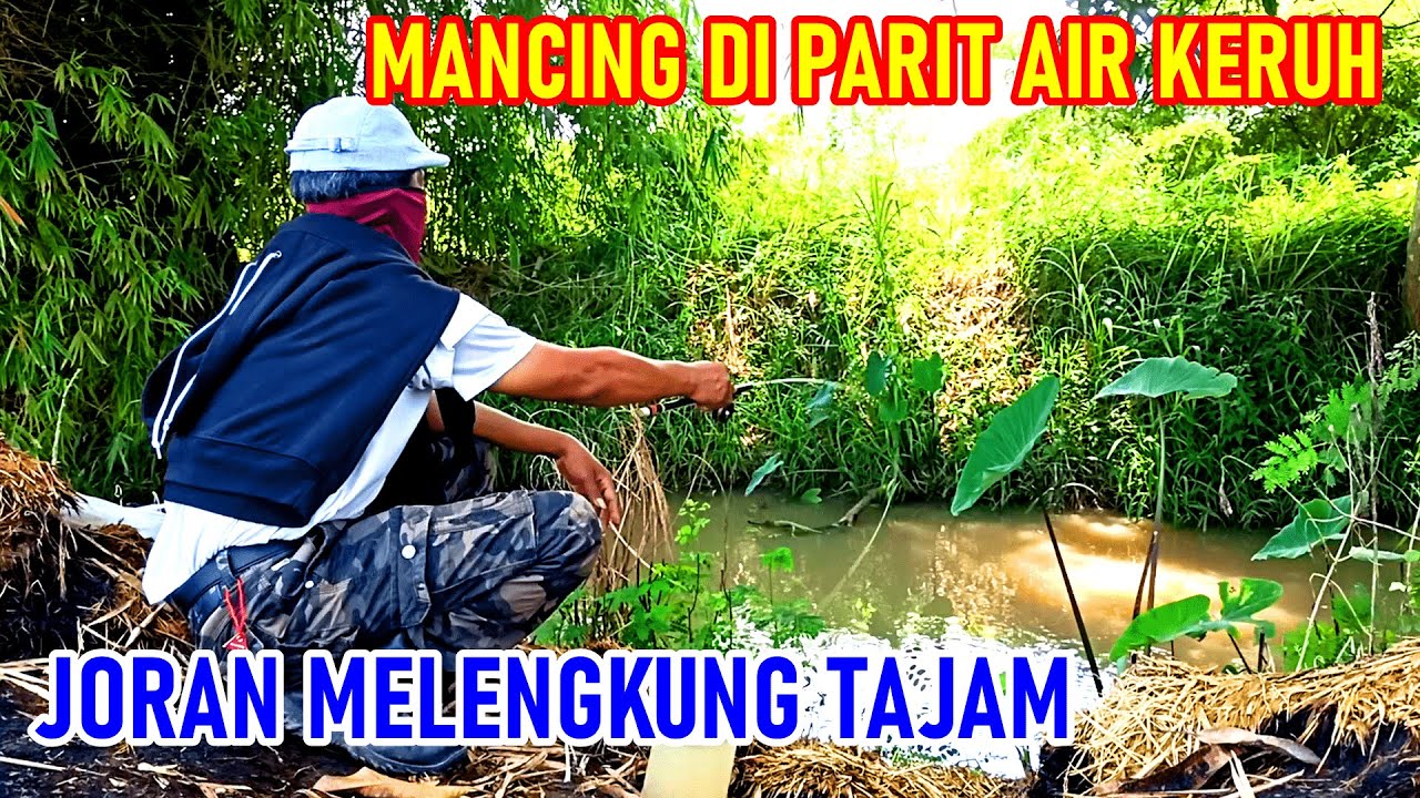 Spot Mancing Di Parit Air Keruh Langsung Jorang Melengkung Tajam ...