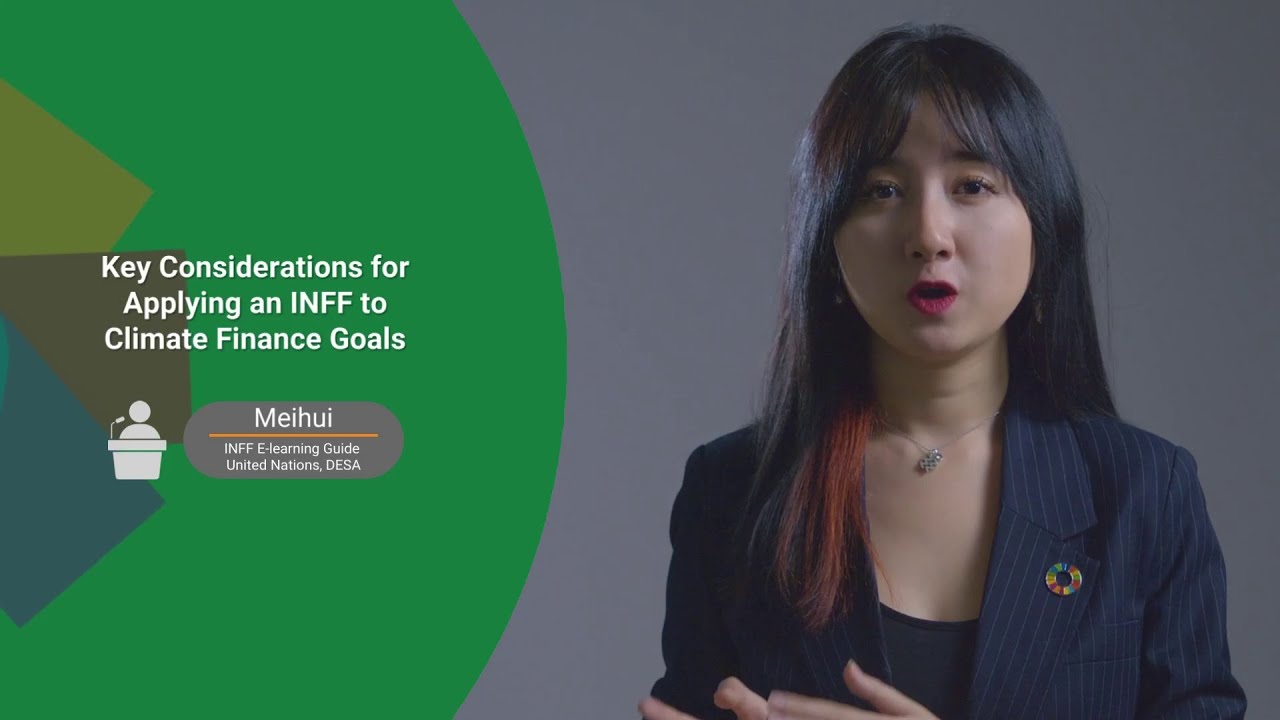 INFFs for Climate Financing: Key Considerations for Effective INFF ...