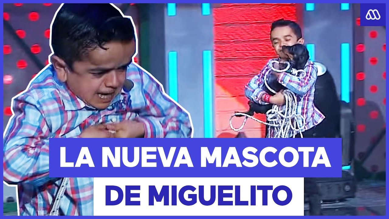 La sorprendente mascota de Miguelito en Detrás del Muro | Mejores ...