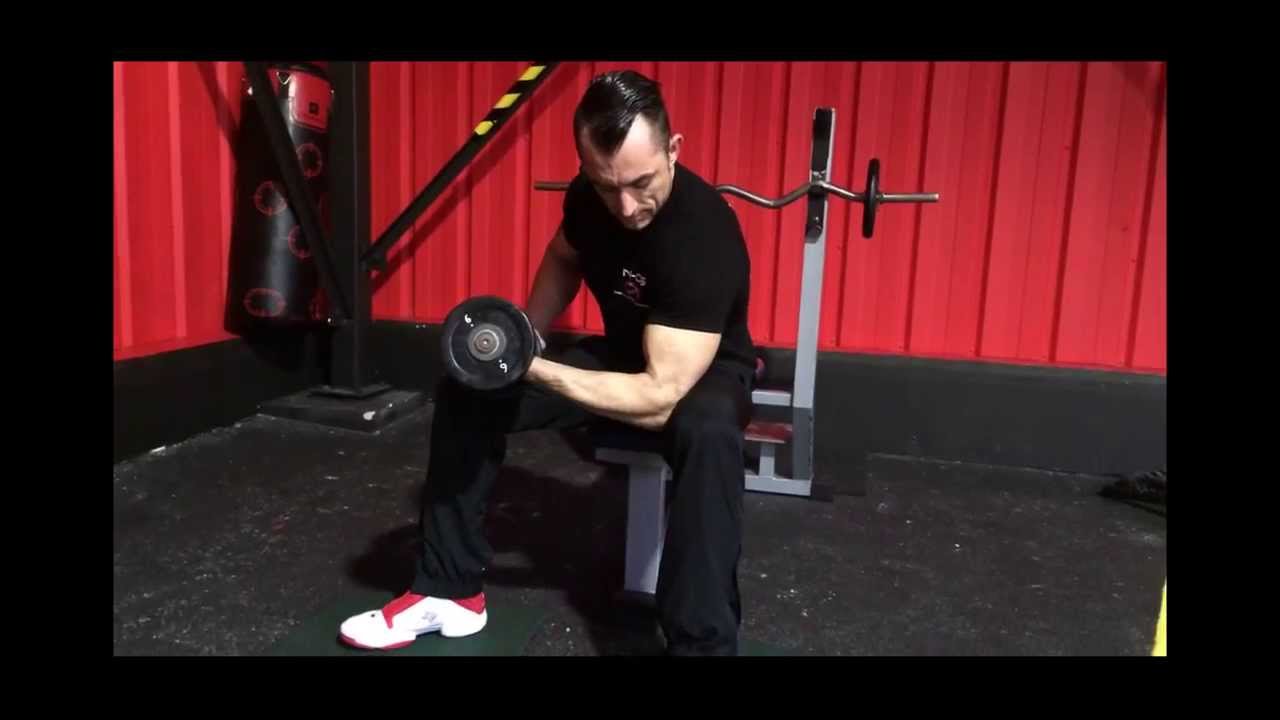 biceps : curl isolé assis - YouTube