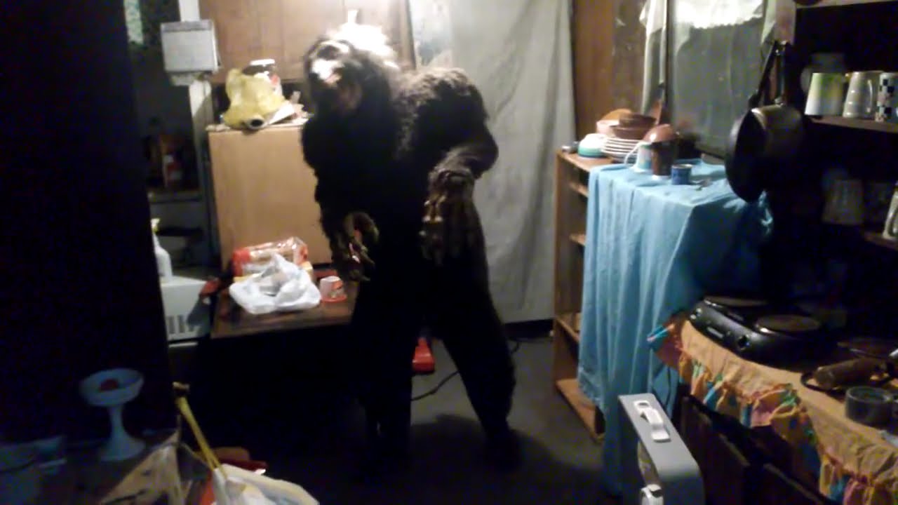 Haley's Werewolf Transformation (2/1) - YouTube