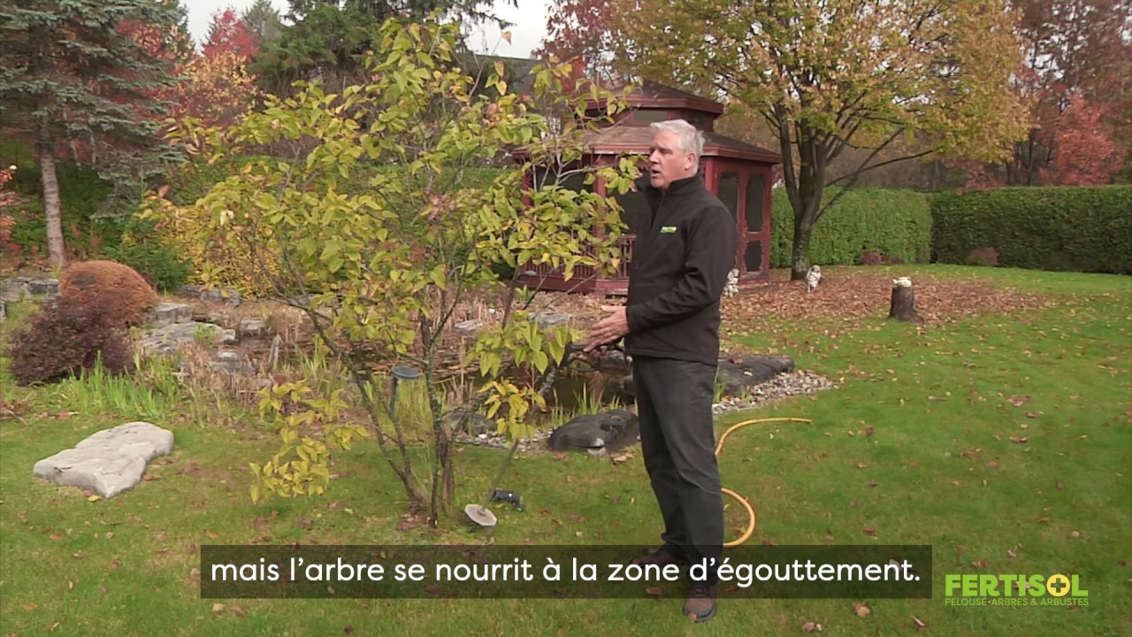 Fertilisation par injection | Fertisol Plus - YouTube