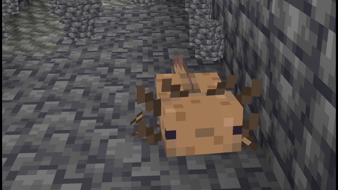 building a light house! | Descent SMP *** - YouTube