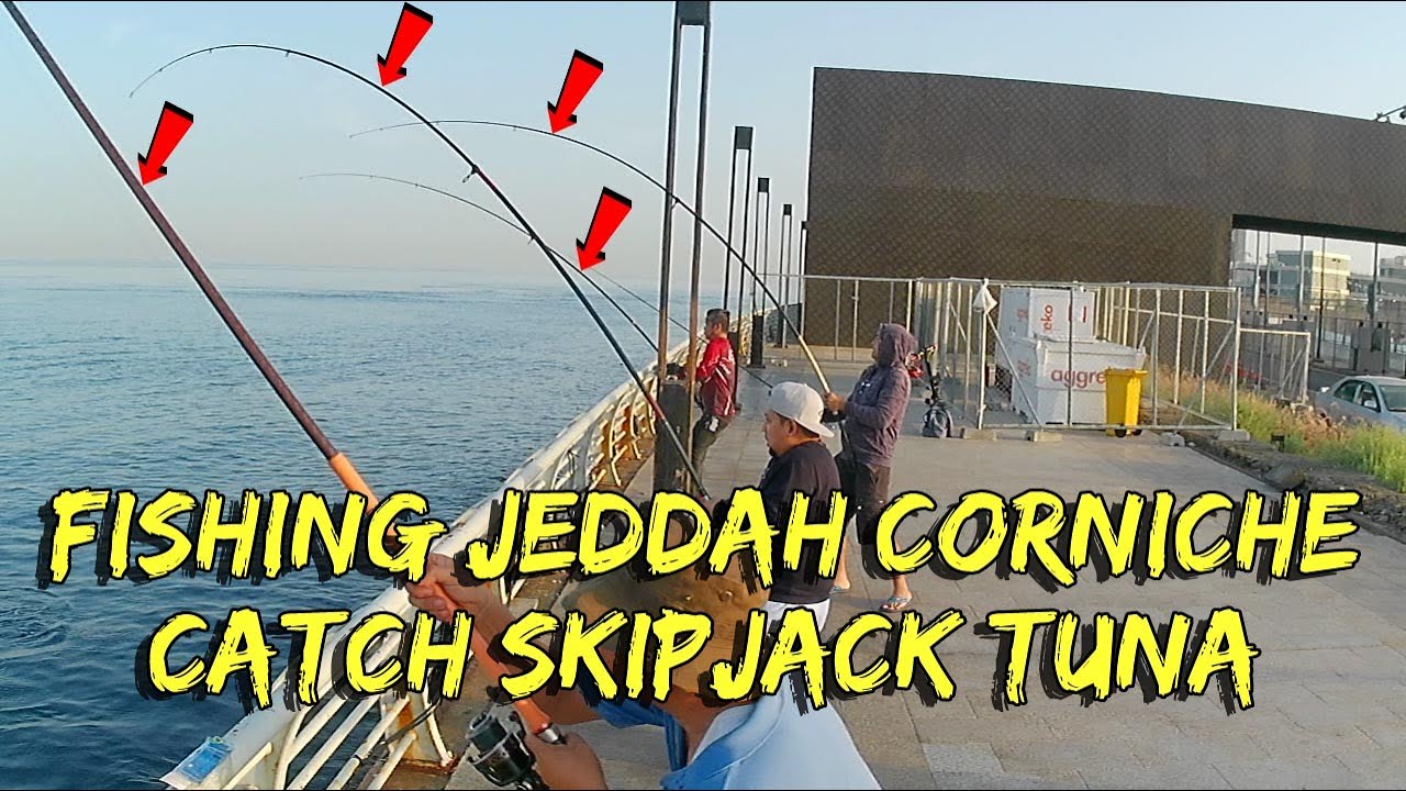 FISHING JEDDAH CORNICHE CATCH SKIPJACK TUNA - YouTube