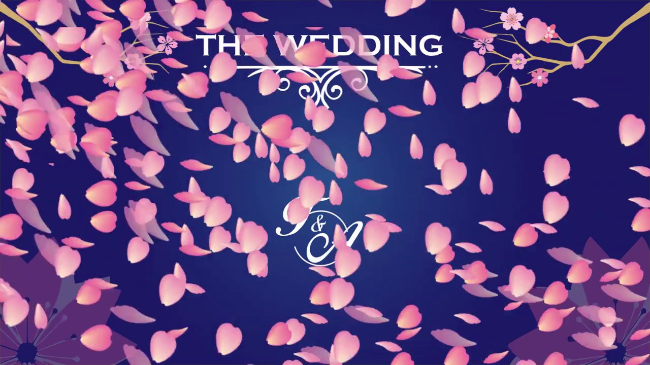 Sakura leaves fall Wedding Animation - Motion Graphic - YouTube