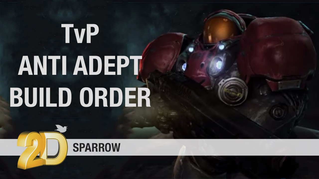 TvP - Easy Anti Adept Build Order - YouTube
