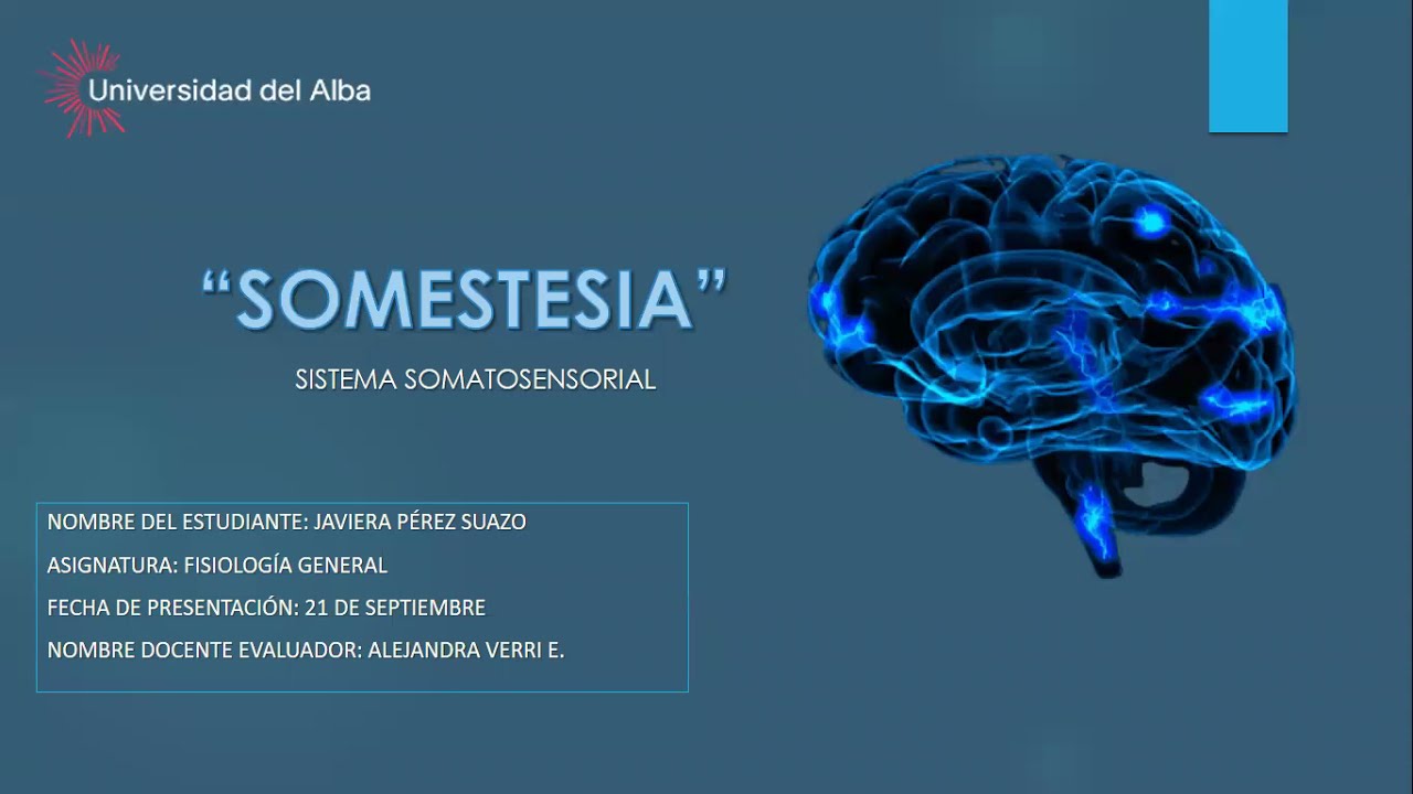 SOMESTESIA by, Javiera Pérez - YouTube