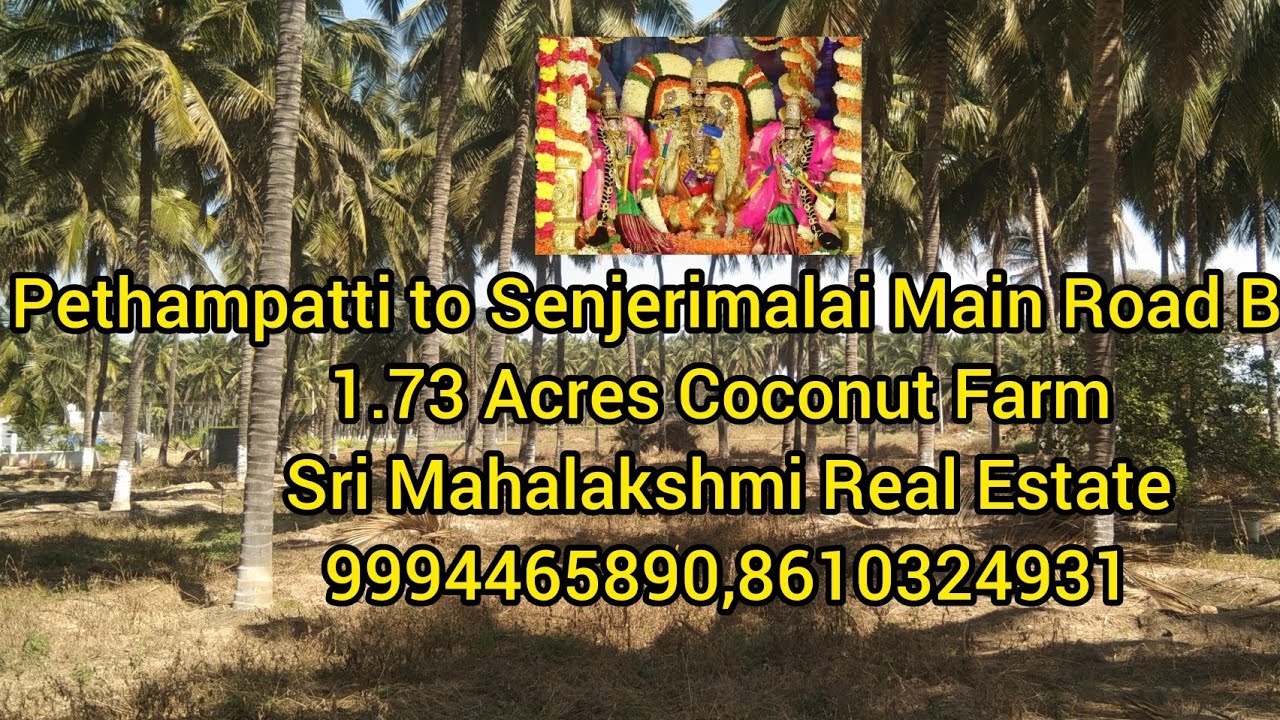 483) Pethampatti to Senjerimalai Main Road Based 1.73 Acres Coconut ...
