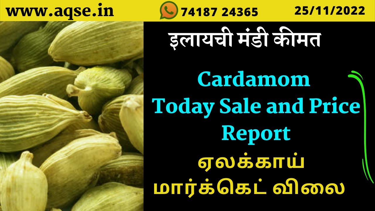 Cardamom Today Sale and Price Report | 25/11/2022 - ITCPC Cardamom ...