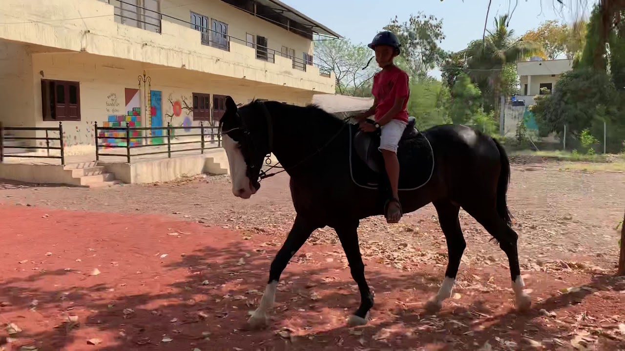 Horse riding at School - YouTube