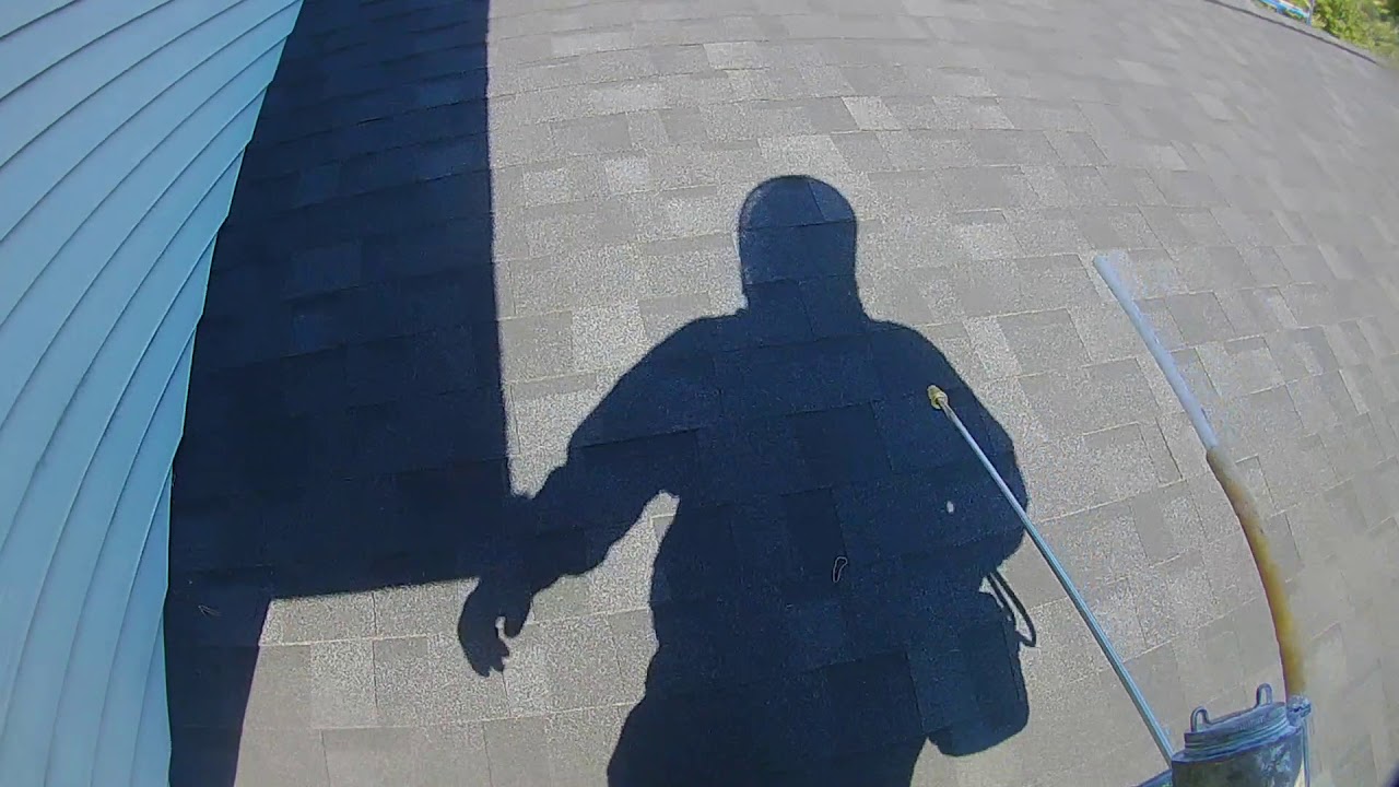 An inside look at a yellow jacket removal - YouTube