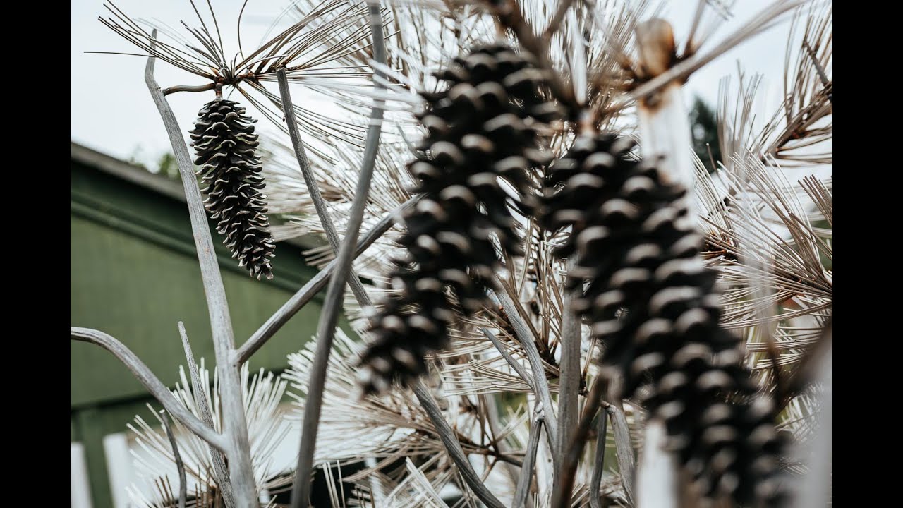 Forging a Pine Cone Scale - YouTube