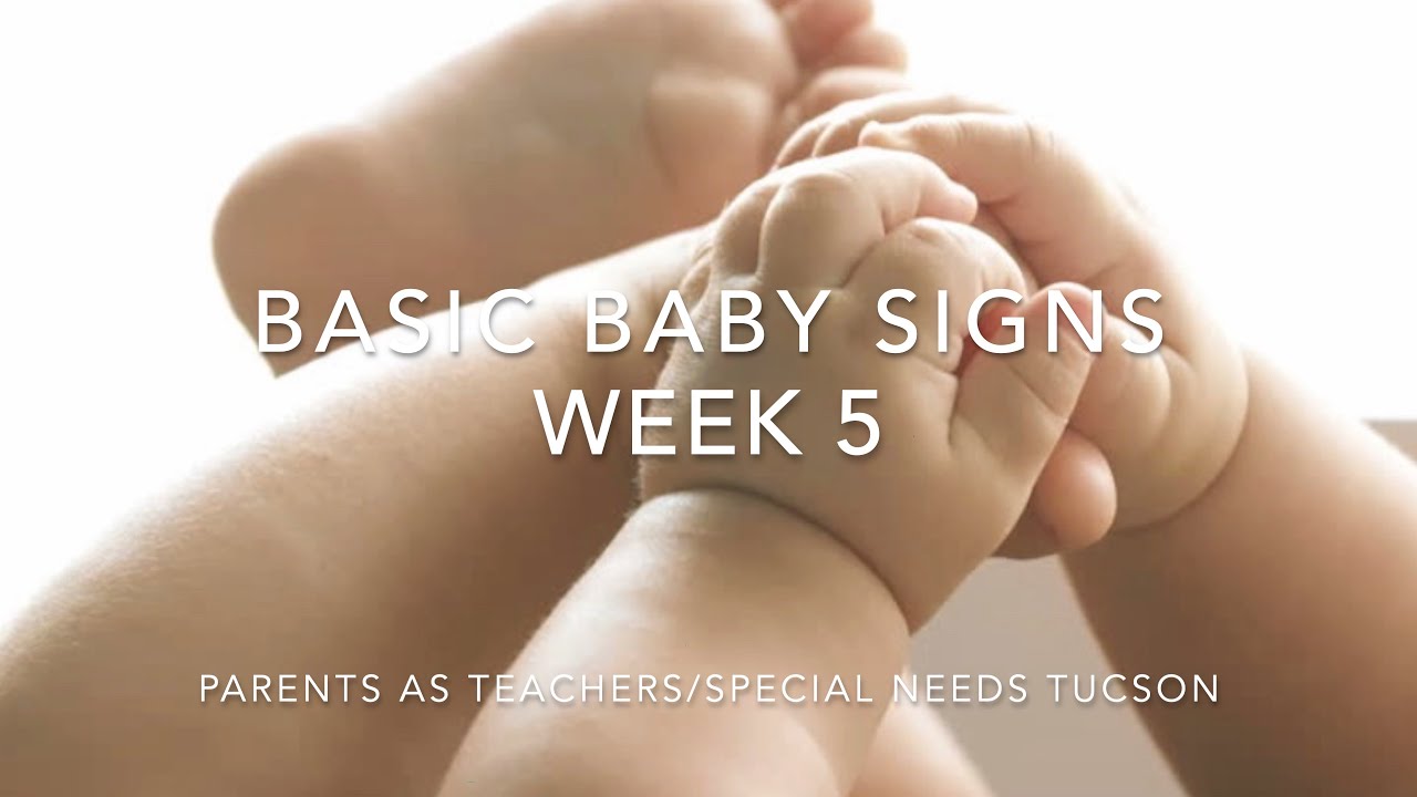 Basic Baby Signs - Week 5 - YouTube