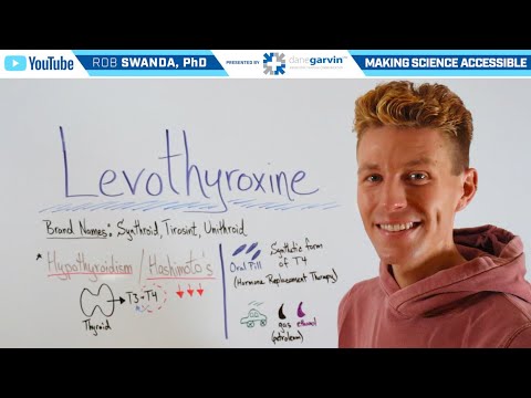 How Does Levothyroxine Work?