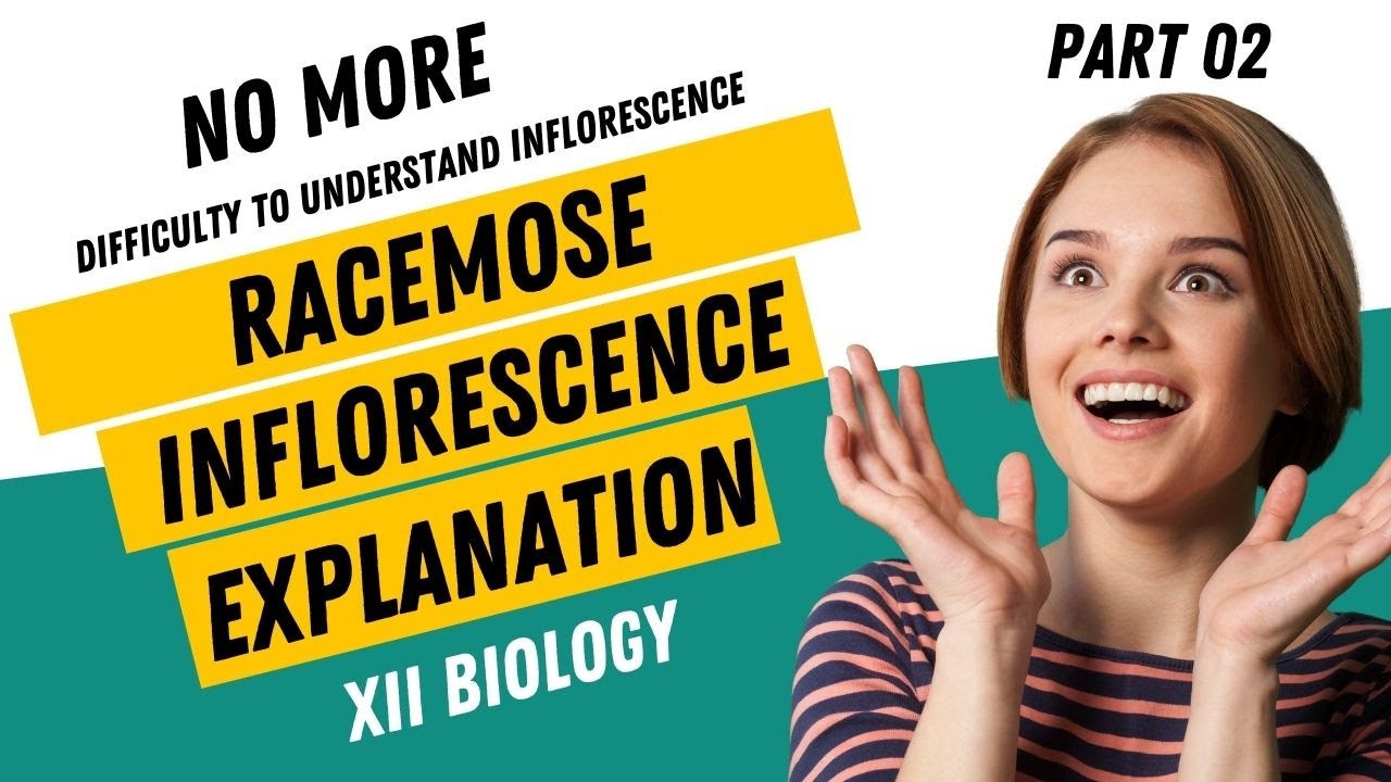 Racemose Inflorescence and Its Types with Example and Diagrams ...