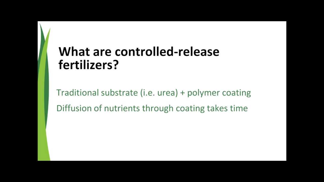 Why Controlled-Release Fertilizers Are So Effective - YouTube