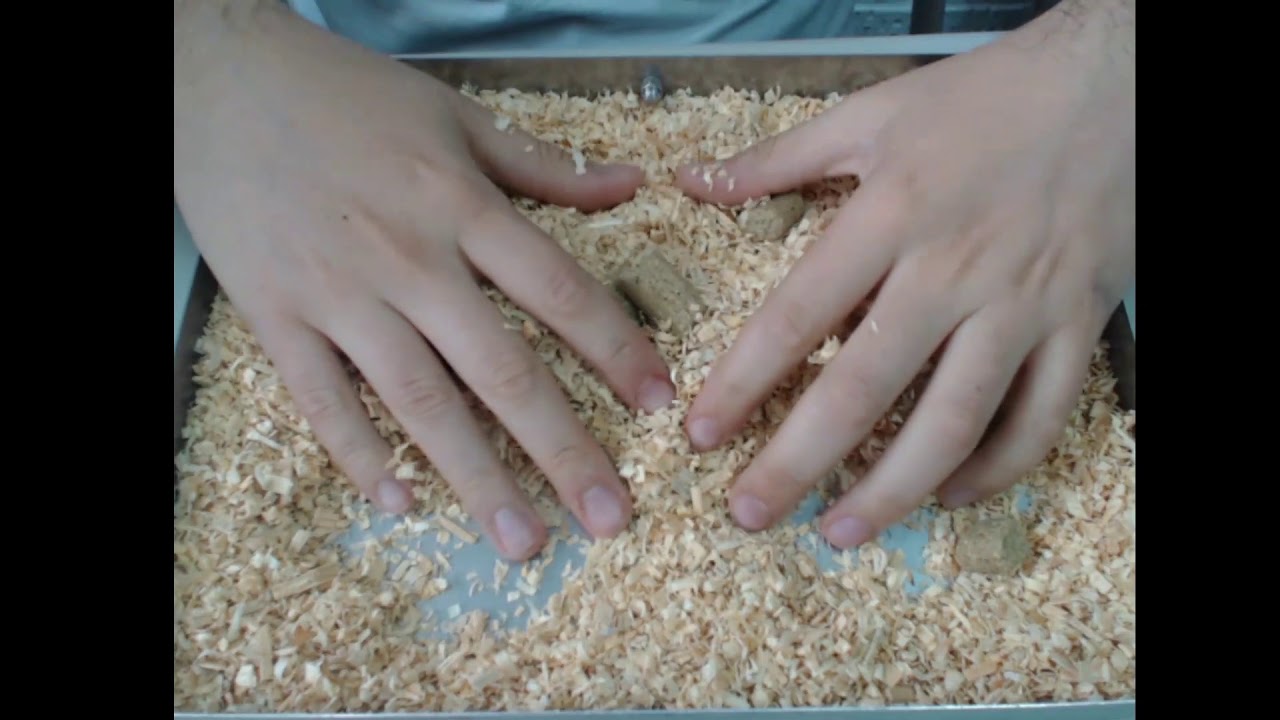 Sawdust & pellet ASMR - YouTube