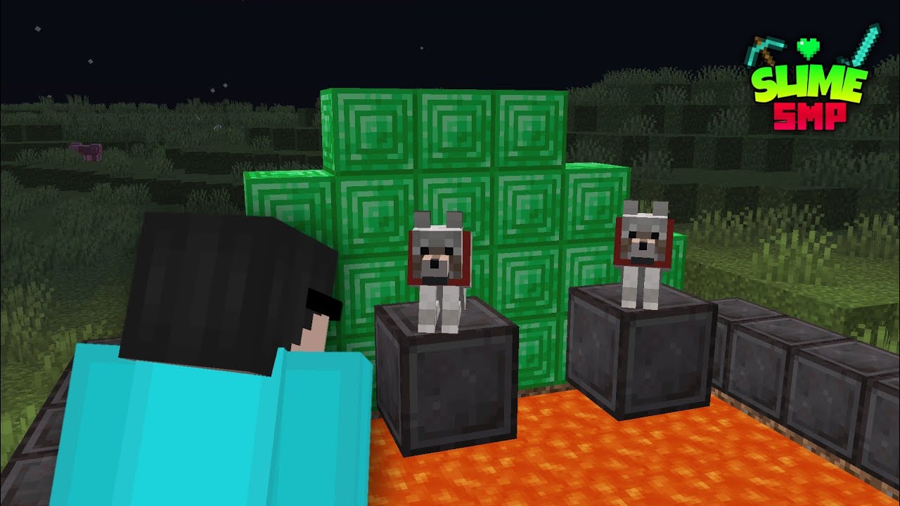 This unknown player KIDNAPPED MY DOG in this Lifesteal SMP - YouTube