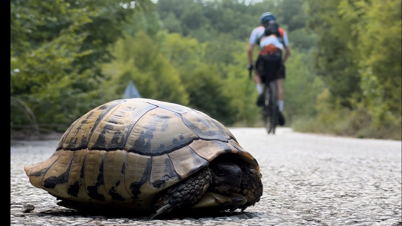 Cycling Home Again - Sofia to Thessaloniki - YouTube