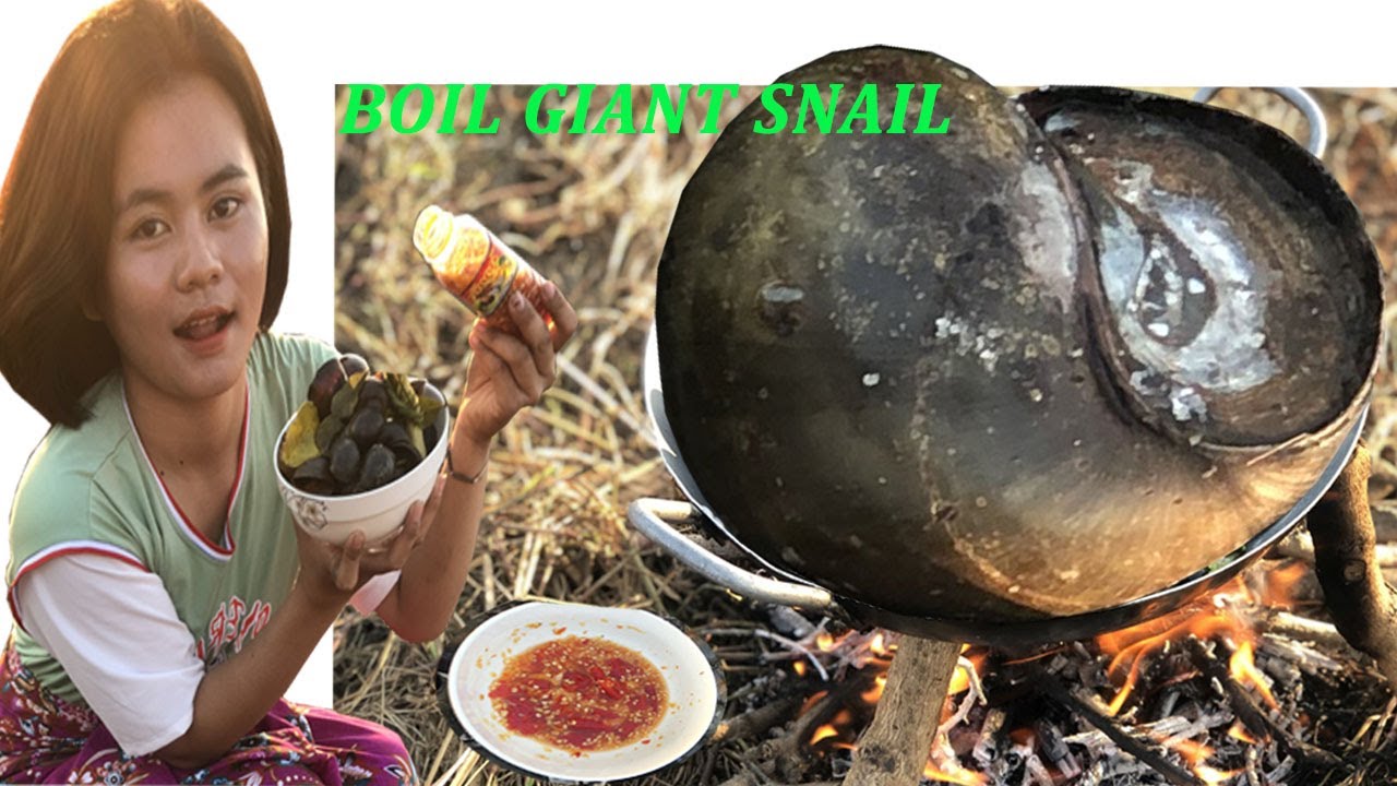 They are roast the giant snails with a delicious spicy sauce in the ...