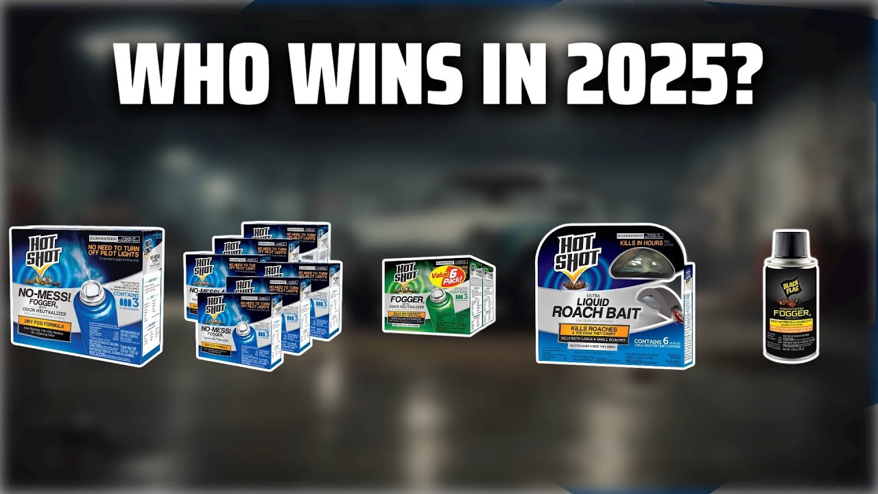 The Top 5 Best Car Roach Bombs in 2025 - Must Watch Before Buying ...