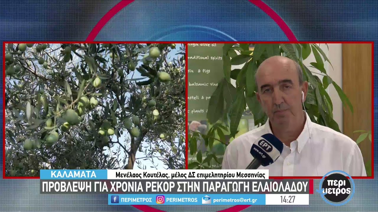 Πρωτιά για την Ελλάδα στην παραγωγή ελαιολάδου | 14/10/2022 | ΕΡΤ - YouTube