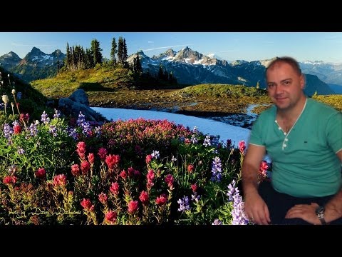 Adnan Zenunovic - Razbolje se Sultan Sulejman [Uzivo]