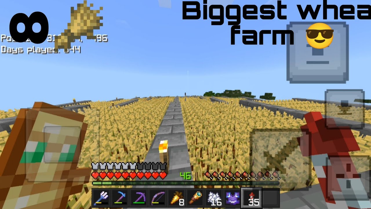 I made a biggest wheat farm in Minecraft Survival 😎⚒️||Minecraft ...