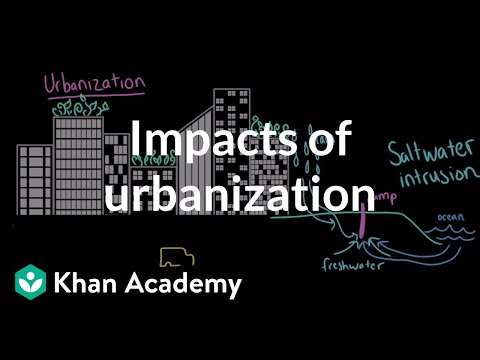 What Is The Scientific Definition Of Urbanization