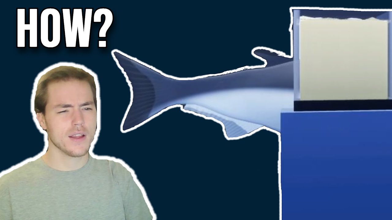 My viewers built ABSURD aquariums in Fish Game - YouTube