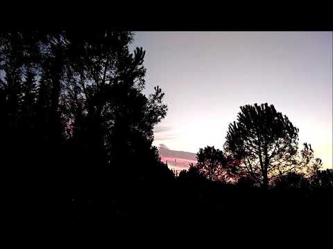 ORMANDA GİZEMLİ GÜZEL SESLER. Rüzgar Kuş Sesi Fon Müzik Meditasyon. RELAXING MYSTERIOUS FOREST SOUND