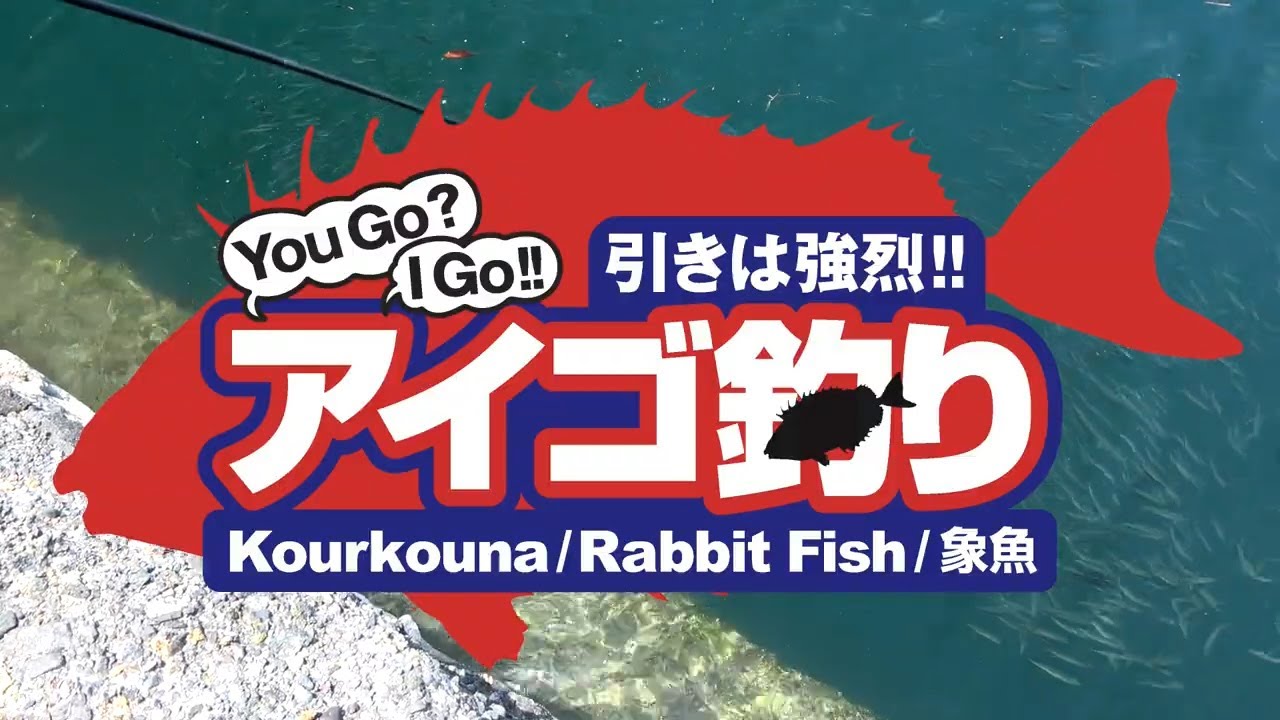 【English】Rabbit Fish Fishing - YouTube