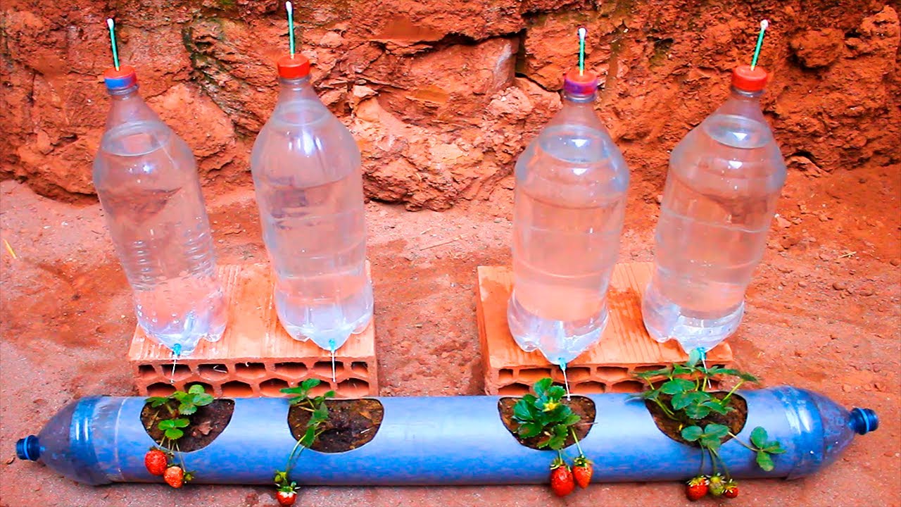 Como hacer Riego por Gotero fácil y económico con botellas de plástico ...