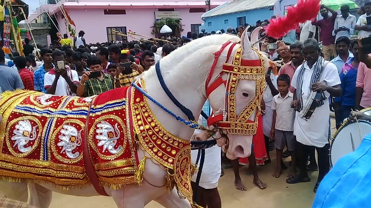 Gurunatha Swamy Temple anthiyur - YouTube