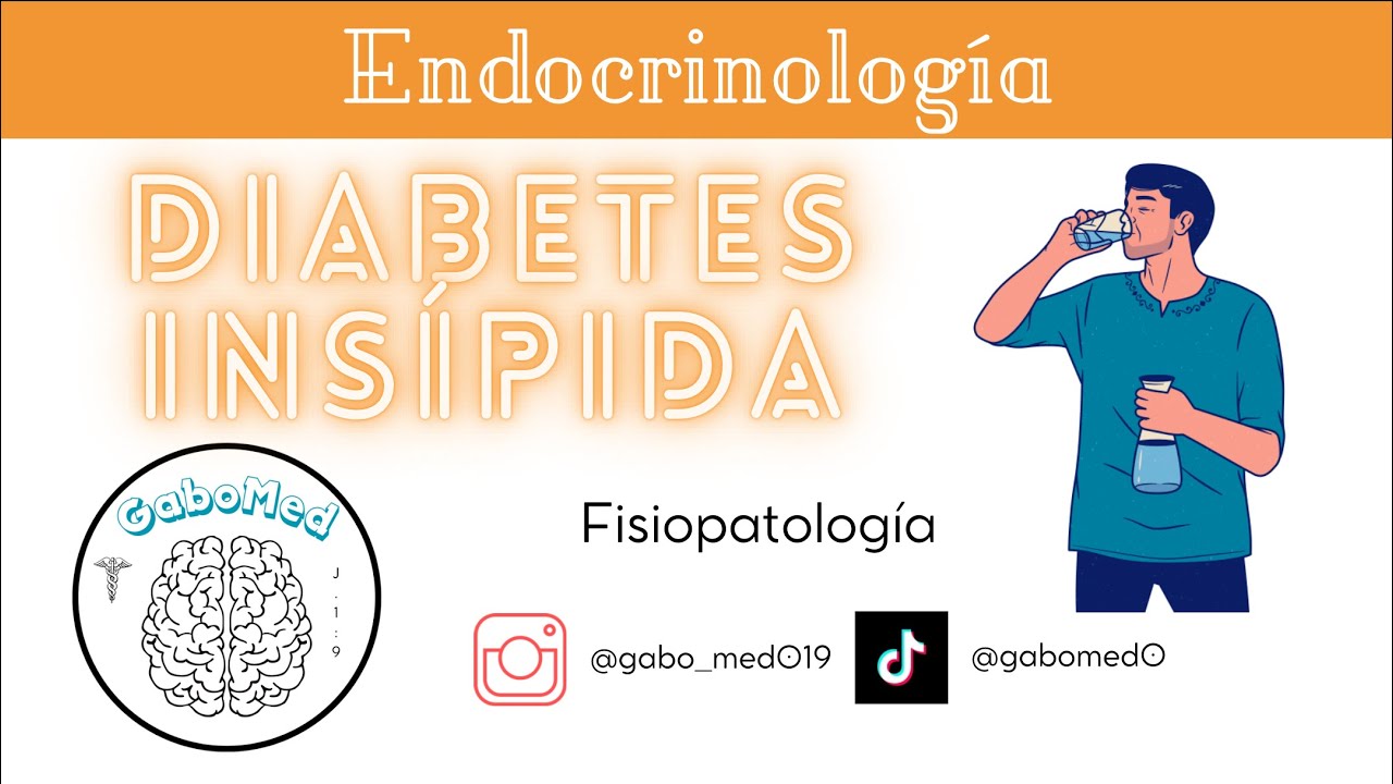 Diabetes Insípida - Fisiopatología - YouTube