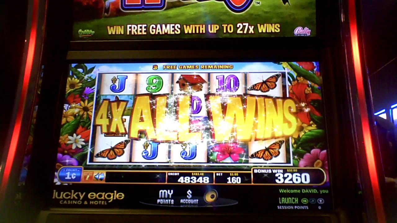 Hummingbird Honey Slot Machine Bonus - YouTube