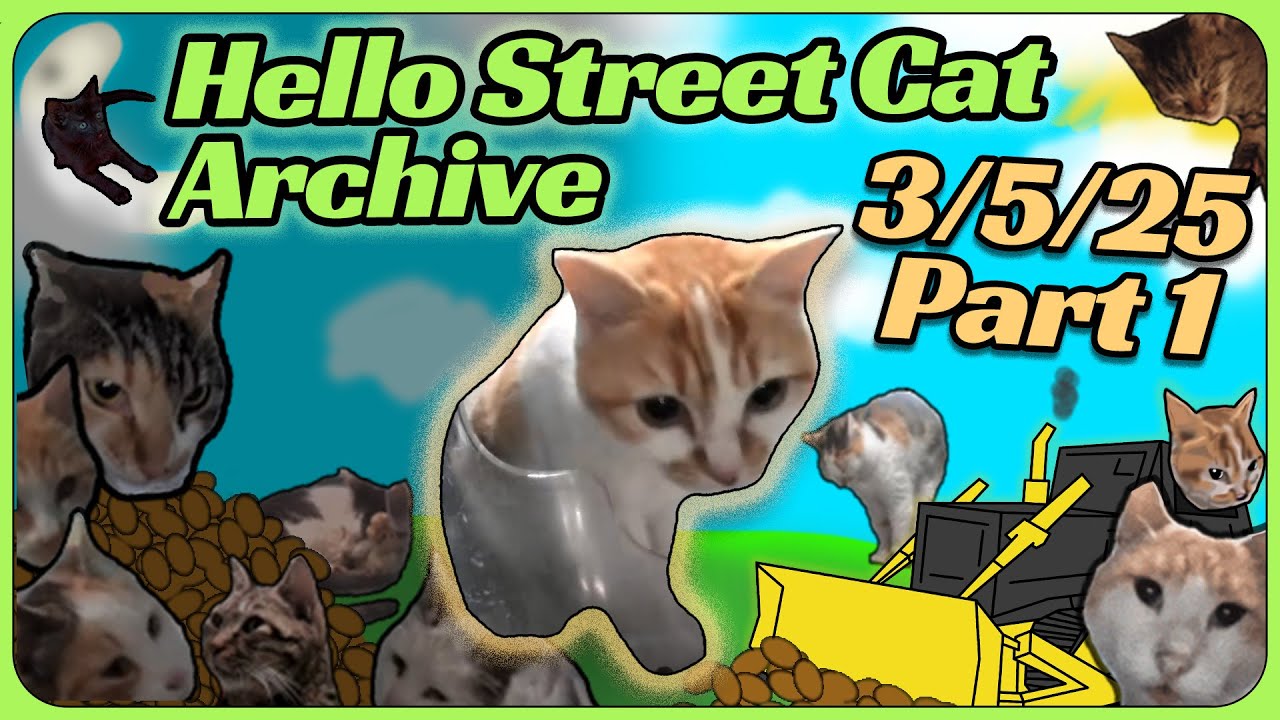 Sweet Ms. Sleepy Moments at Happy Canteen! Hello Street Cat Archive 🐈😸 ...