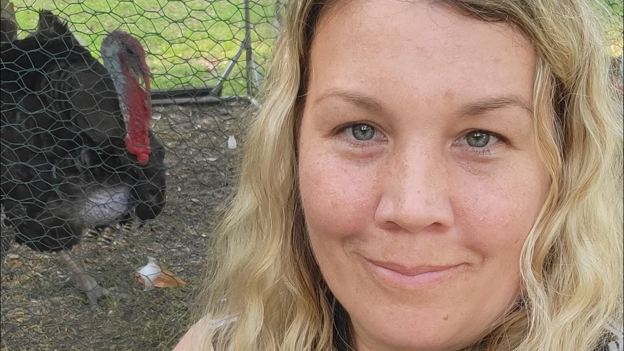 Expert tips for cooling your chickens - YouTube