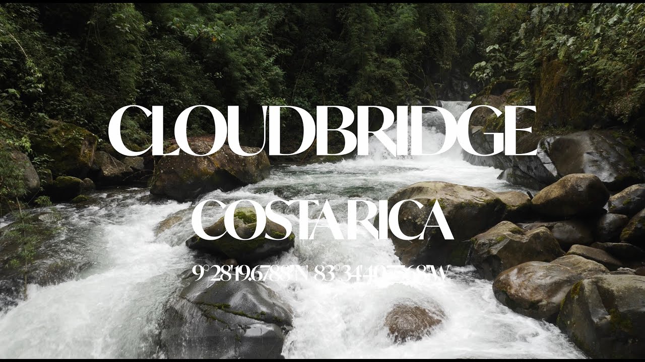 Cloudbridge -- Costa Rica (a wildlife short film) Part 2 - YouTube
