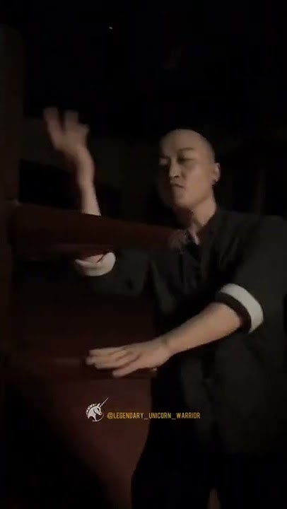 Wing chun with an incredible master ! - Master Tu Teng YAO - YouTube