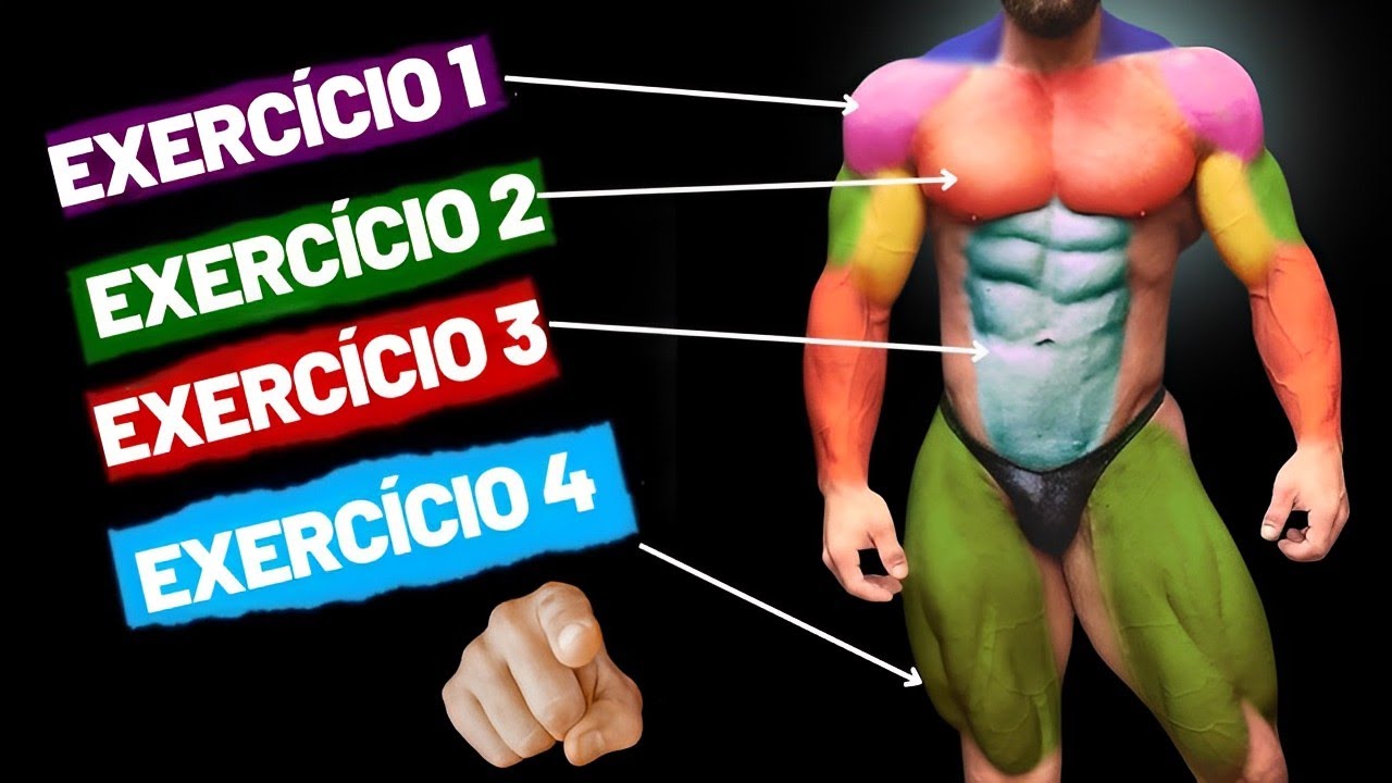 Como fazer o treino de corpo todo [MELHOR TREINO FULL BODY] com todos ...