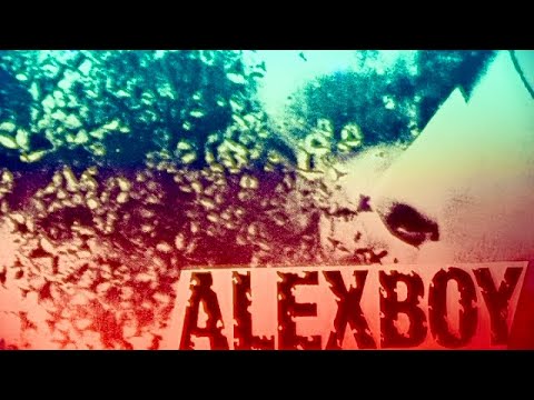 ALEXBOY(博多) “猫”※Early FREEMAN 1986年 demo - YouTube