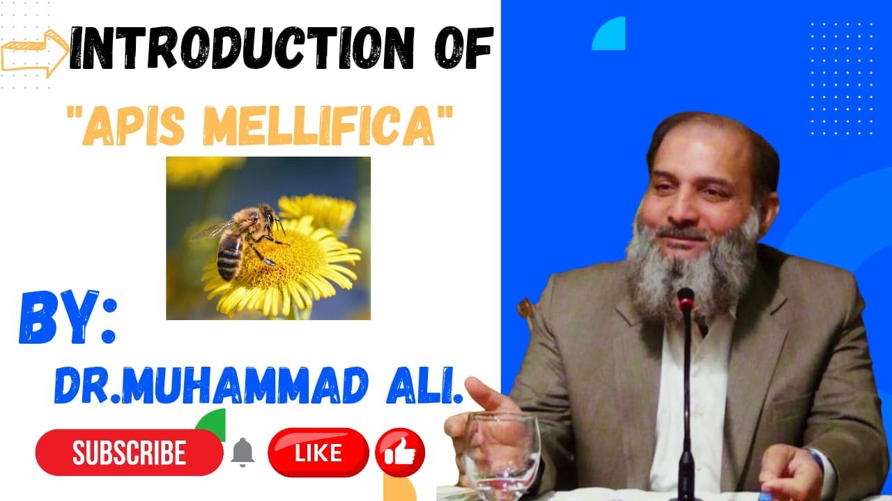 Introduction of Apis Mellifica.|| Homeopathic medicine || Doctor M Ali ...