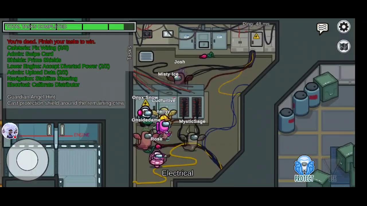 Among Us Stream (Testing) 🤨 - YouTube