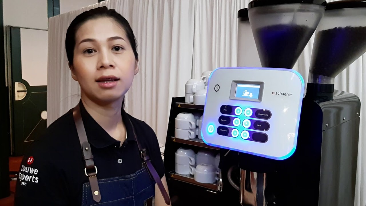 DAILY CLEANING SWISS SCHAERER VITO - YouTube