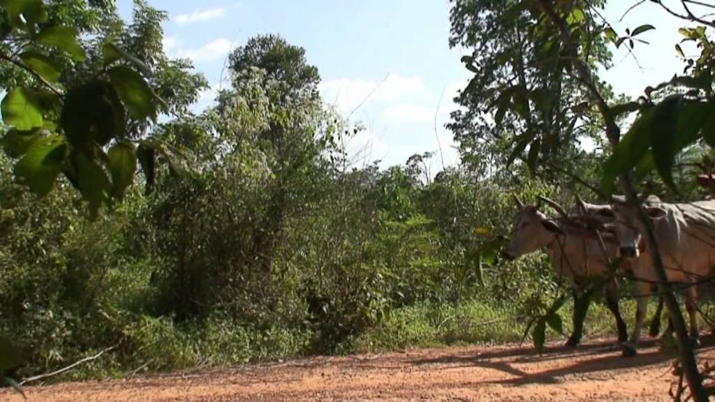 Waterfall Cambodia 2011(Chambok Waterfall) - YouTube