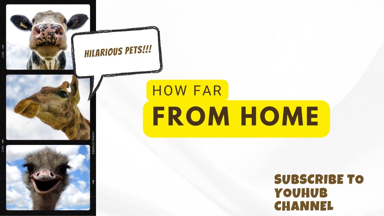 How far from Home - YouTube