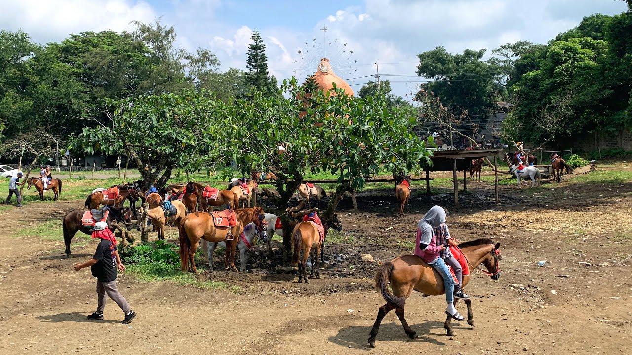 Tagaytay Picnic Grove Horseback Riding - Don't fall for the "Secret ...