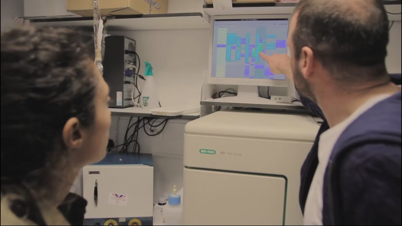 Expanding Flow Core Capabilities with the S3e™ Cell Sorter - YouTube