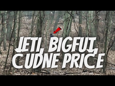 Jeti, Bigfoot i Čudne Priče o Bizarnim Događajima i Stvorenjima